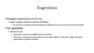 Insuficiencia suprarrenal | PPTX