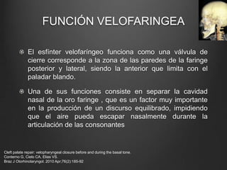 Insuficiencia velofaringea | PPTX