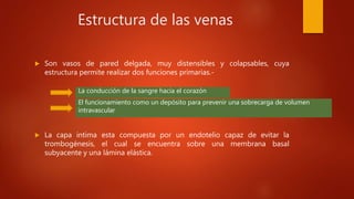 INSUFICIENCIA VENOSA | PPTX