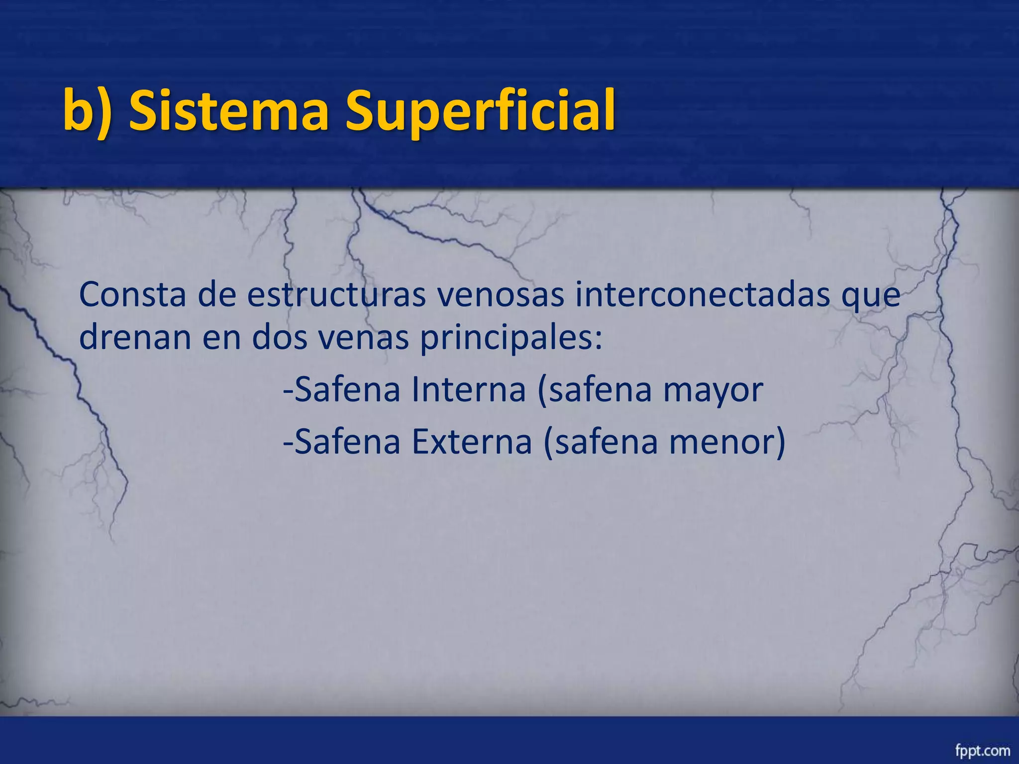 La Ecografía Doppler En La Insuficiencia Venosa Pptx
