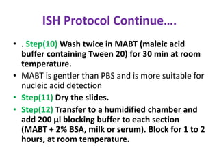 Insuite hybridization | PPTX