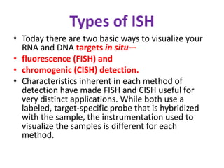 Insuite hybridization | PPTX