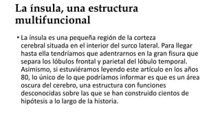 Insula neuroanatomia UCNE | PPTX