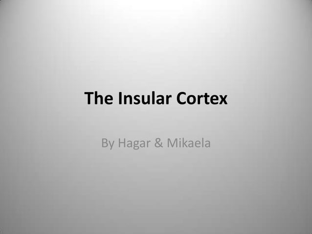Insular Cortex | PPT