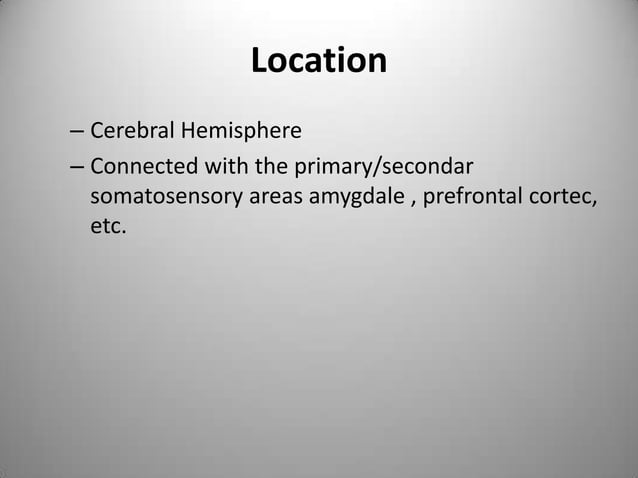 Insular Cortex | PPT