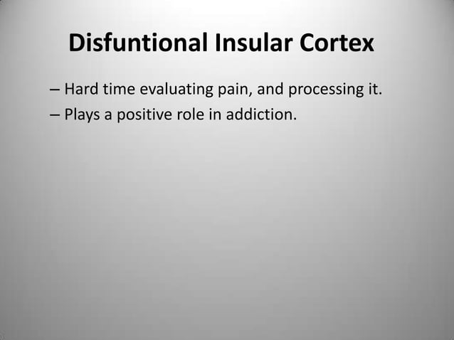 Insular Cortex | PPT