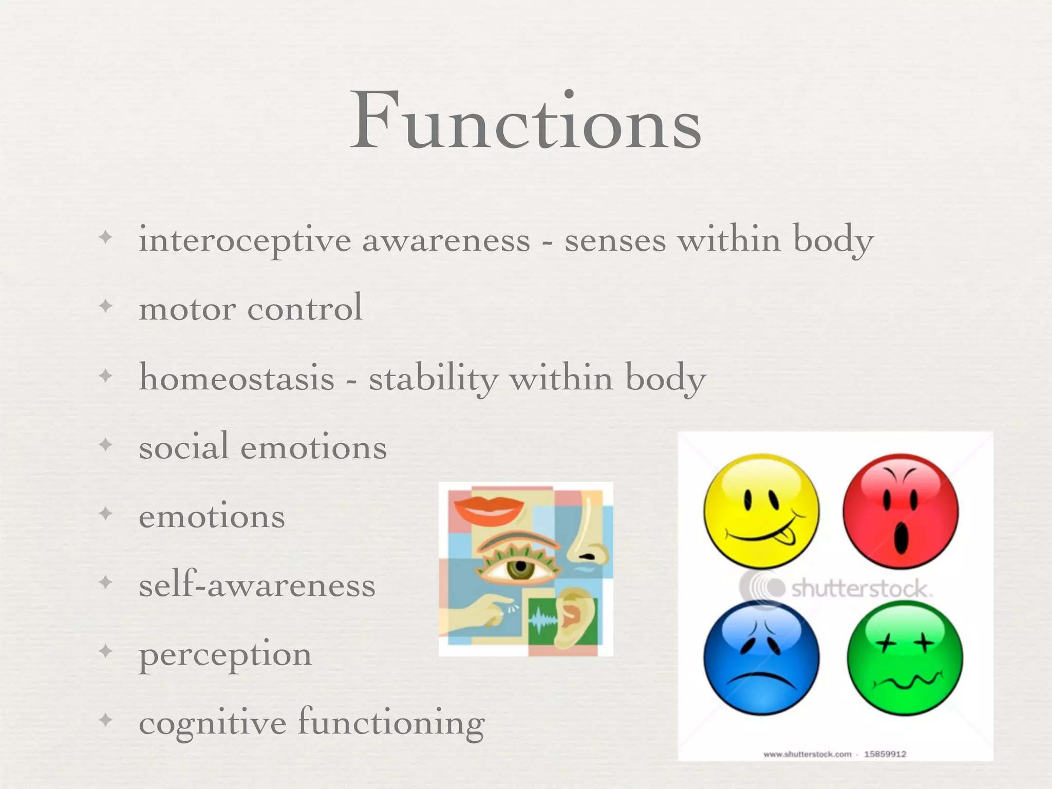 Insular cortex | KEY