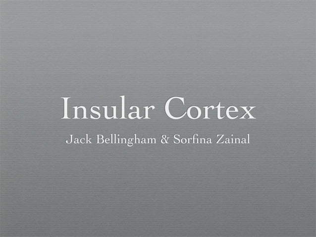 Insular cortex | KEY | Brain and Nervous System Disorders | Diseases ...