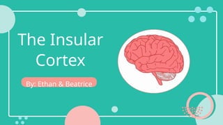 Insular Cortex-Ethan and Beatrice.pptxaa | PPT
