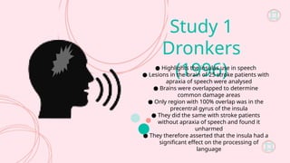 Insular Cortex-Ethan and Beatrice.pptxaa | PPT