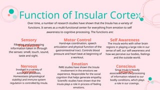 Insular Cortex-Ethan and Beatrice.pptxaa | PPT