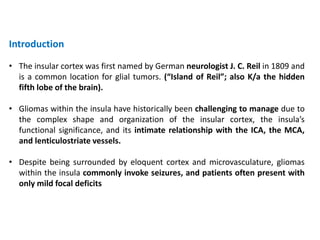 INSULAR GLIOMA SURGERY.pptx