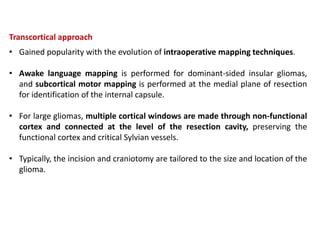 INSULAR GLIOMA SURGERY.pptx
