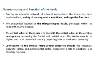 INSULAR GLIOMA SURGERY.pptx