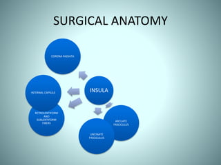 Insular lobe anatomy | PPTX