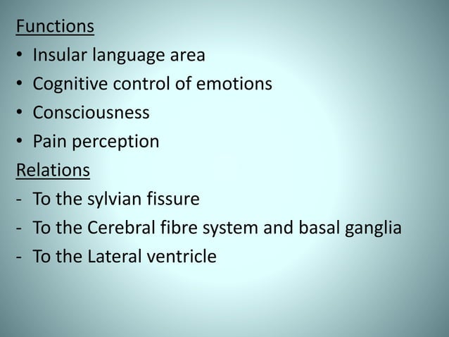 Insular lobe anatomy | PPTX | Brain and Nervous System Disorders ...