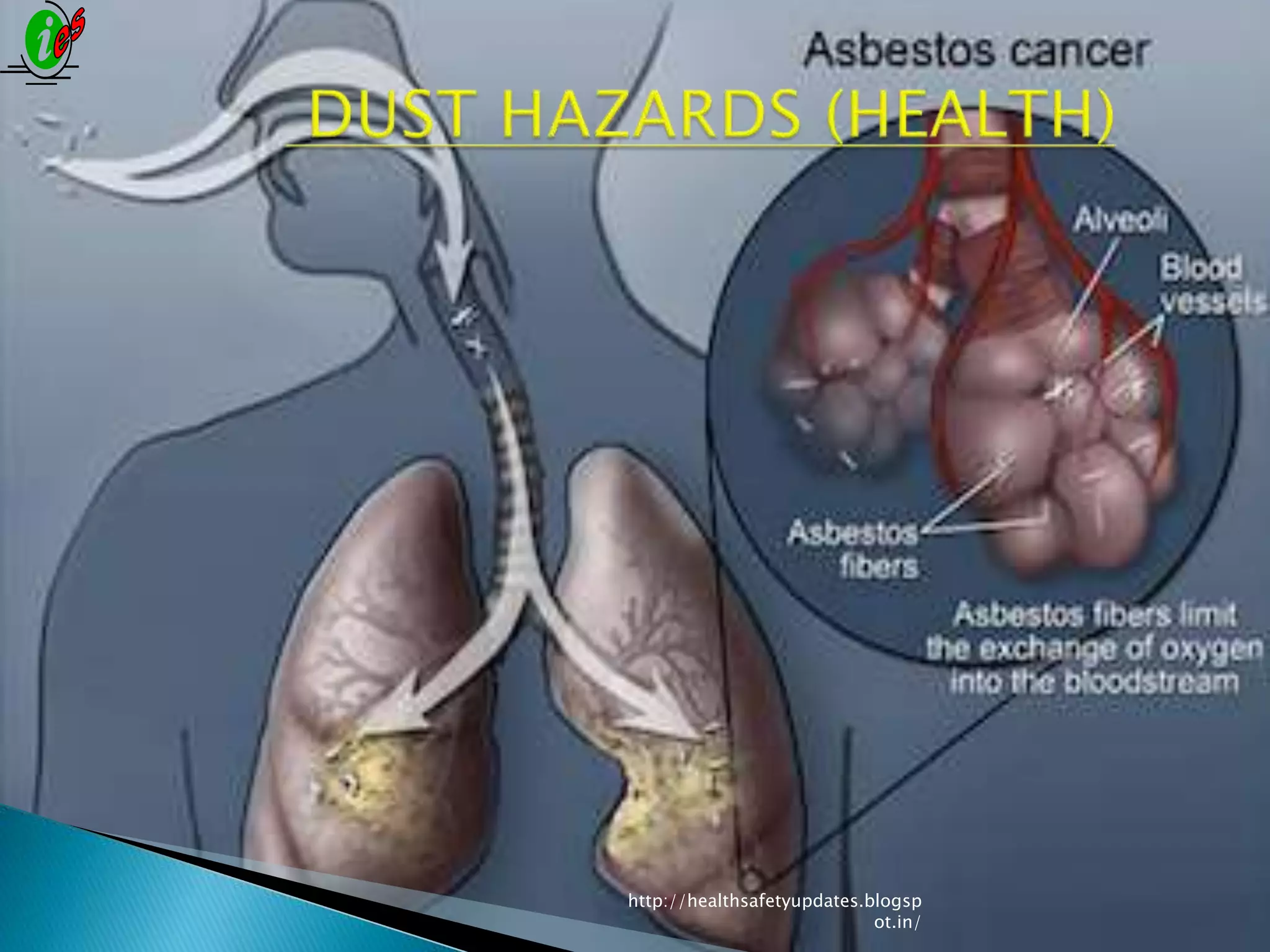 Insulation job hazards & Precautions | PPTX