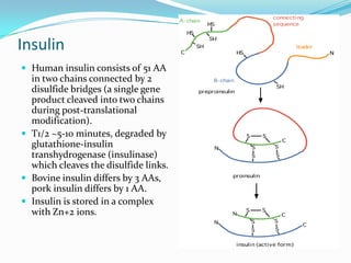Insulin | PPT
