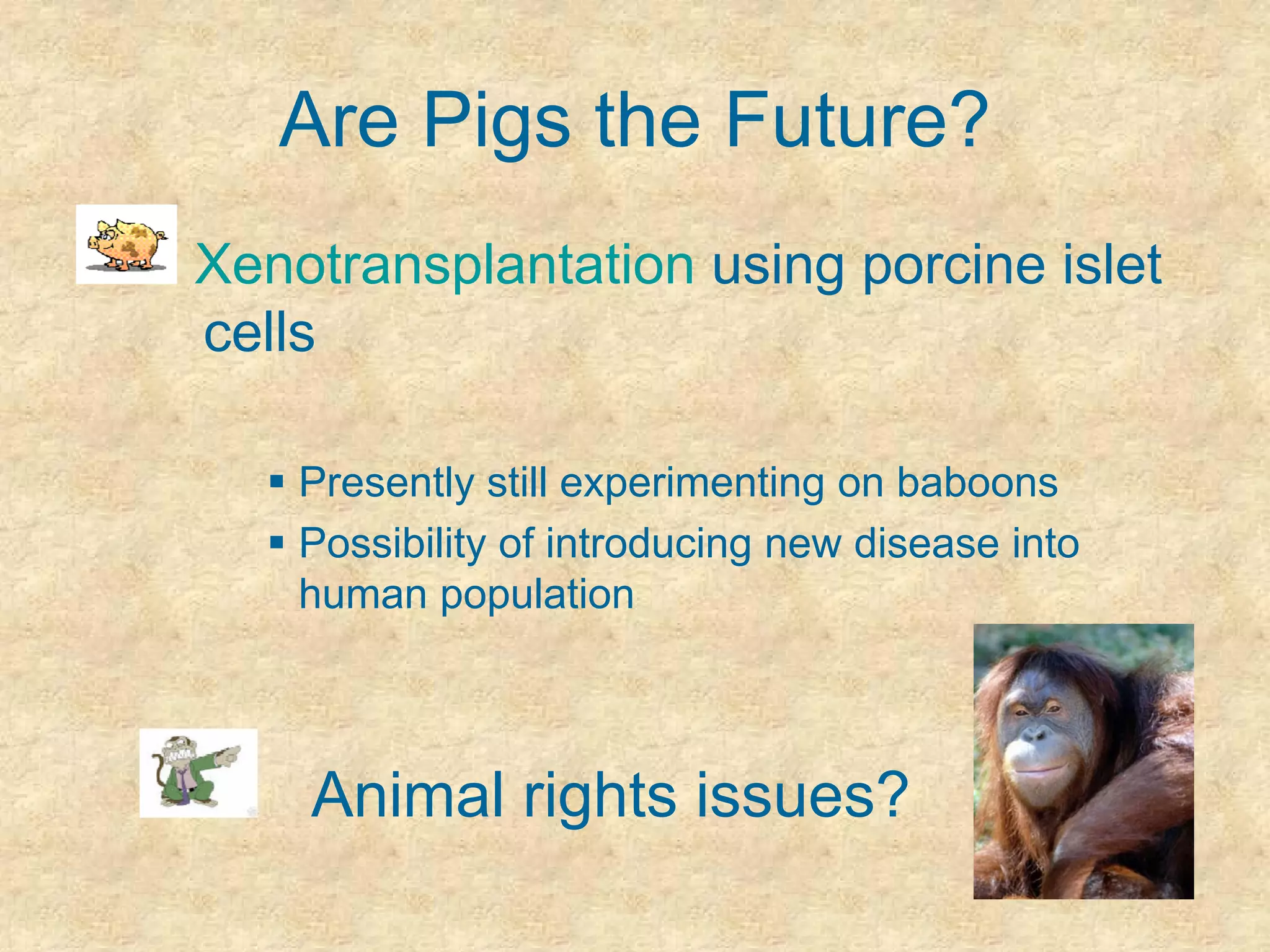 How do they harvest insulin from pigs? | PDF | Endocrine and Metabolic ...