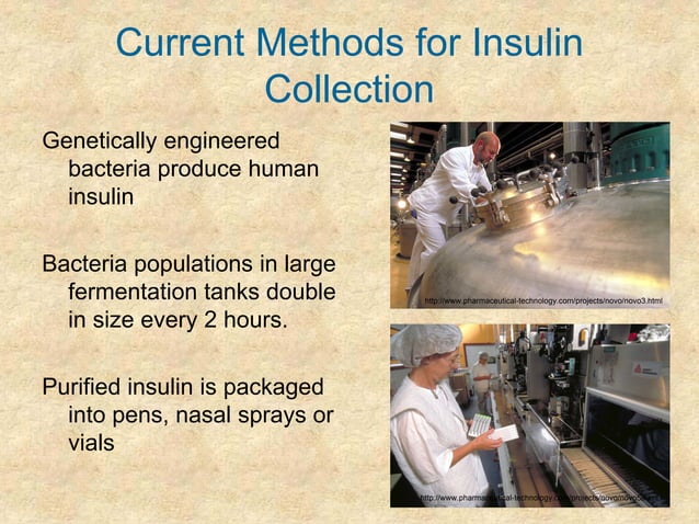 How do they harvest insulin from pigs? | PPT
