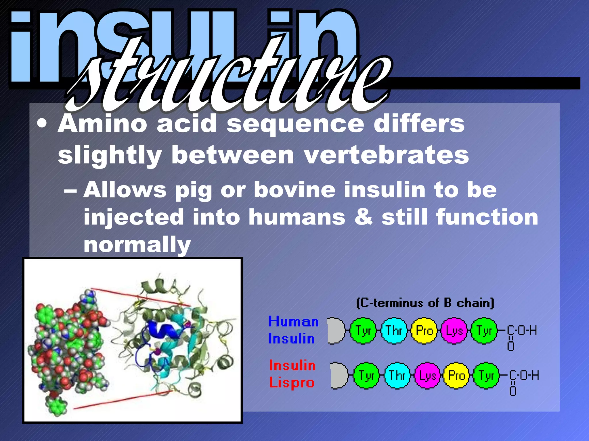 Insulin | PPT