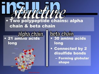 Insulin | PPT