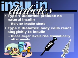 Insulin | PPT