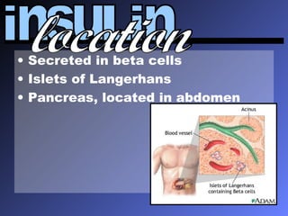 Insulin | PPT