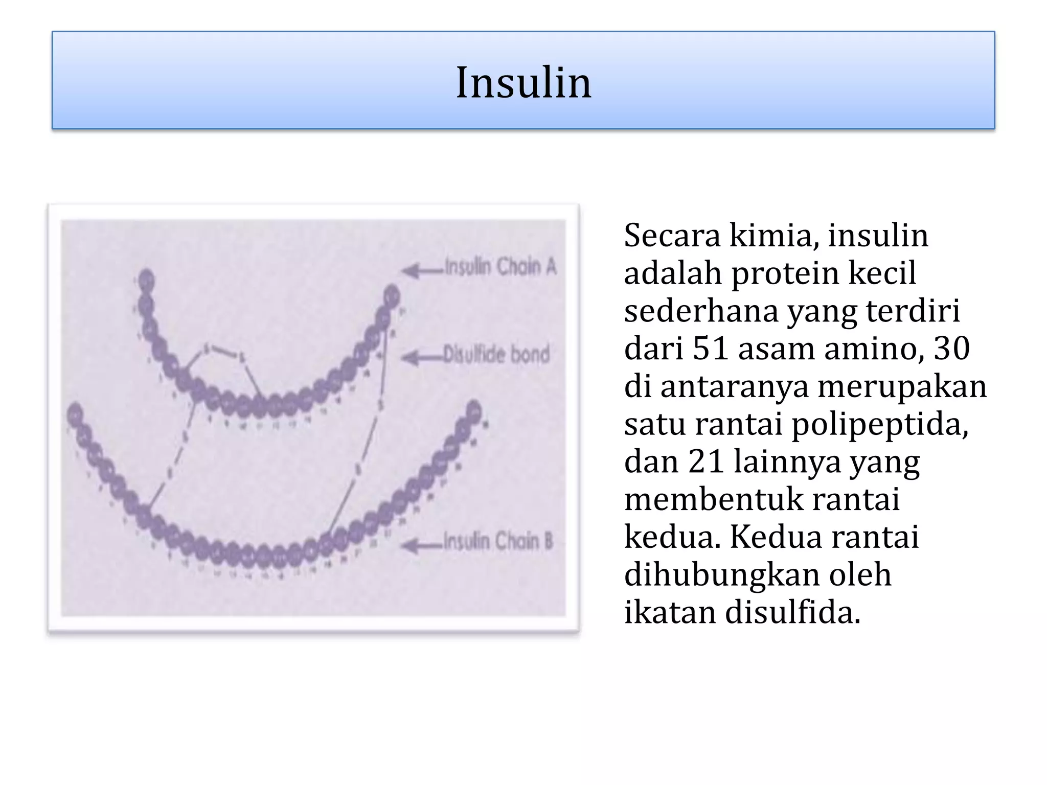 Pembuatan Insulin dengan Teknik Rekombinasi DNA | PPTX