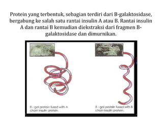 Pembuatan Insulin dengan Teknik Rekombinasi DNA | PPTX