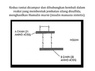 Pembuatan Insulin dengan Teknik Rekombinasi DNA | PPTX