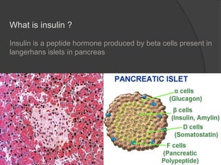 Insulin | PPT