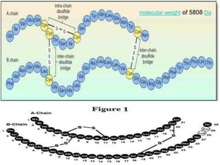 Insulin | PPTX