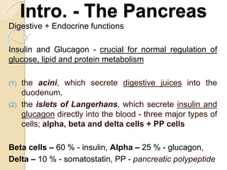 Basics of Insulin | PPTX