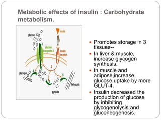 Insulin | PPTX