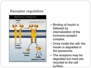 Insulin | PPTX