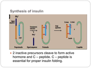 Insulin | PPTX