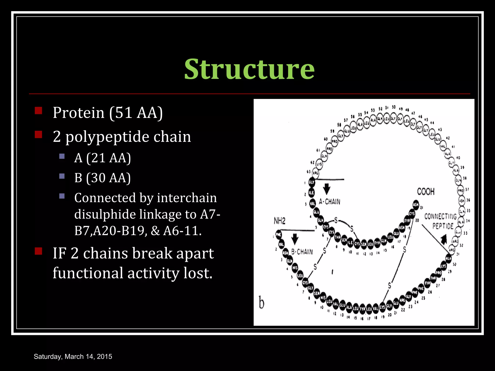 INSULIN | PPT