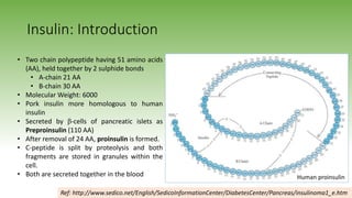 Insulin | PPTX
