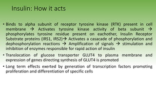 Insulin | PPTX
