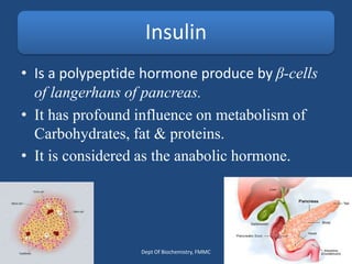 Insulin by Dr. Anurag Yadav | PPTX