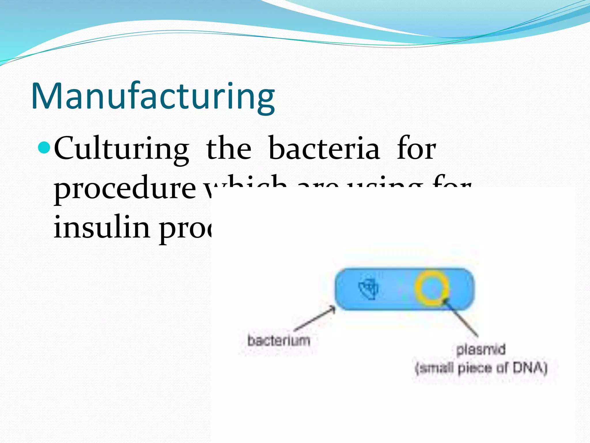 Insulin | PPT