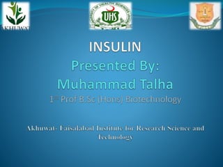 Insulin | PPT