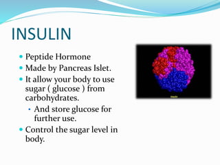 Insulin | PPT