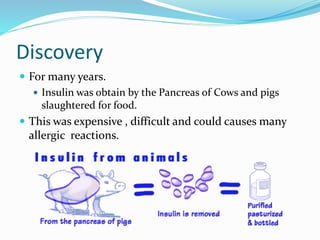 Insulin | PPT