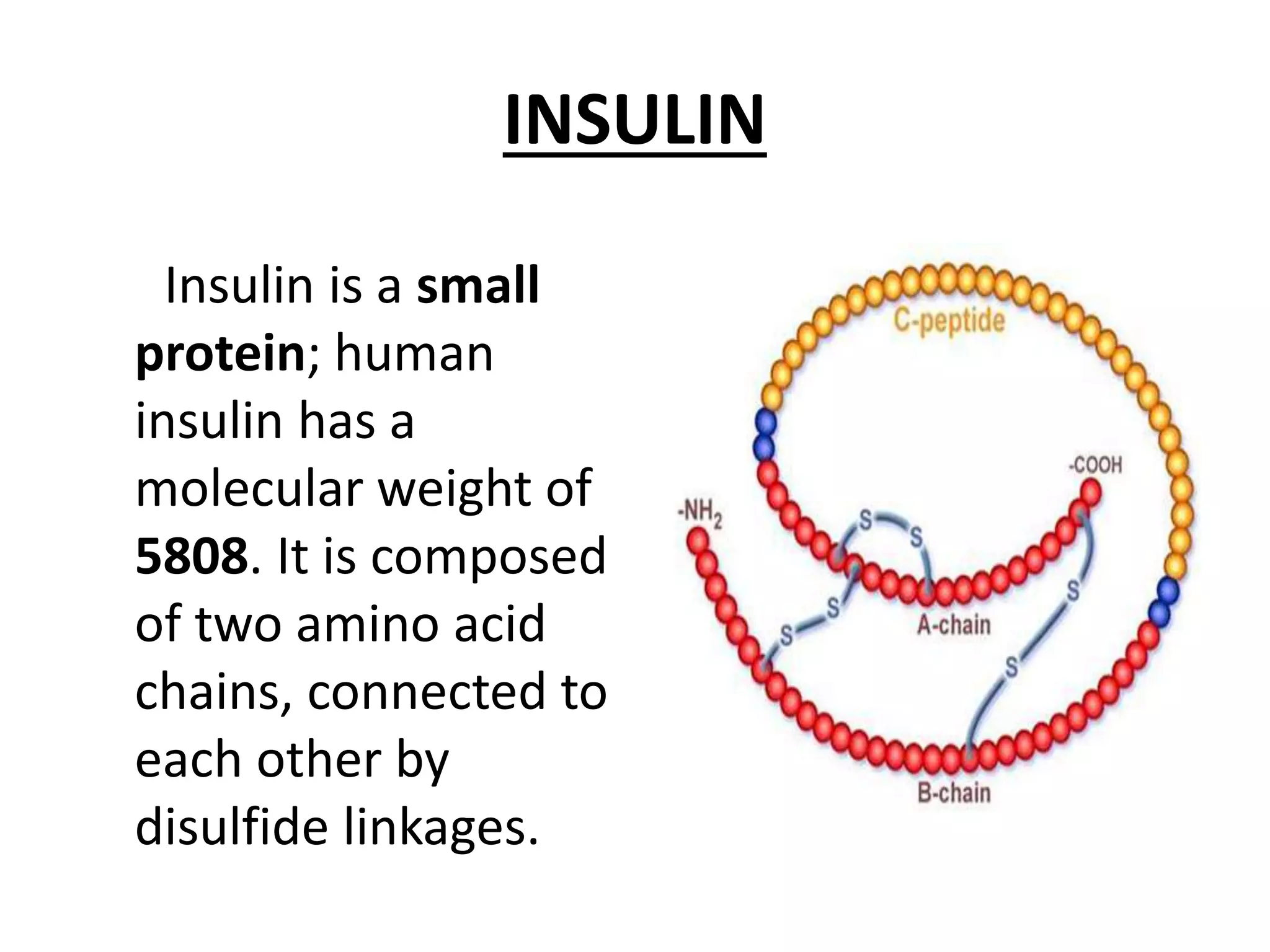 Insulin and its Uses | PPTX