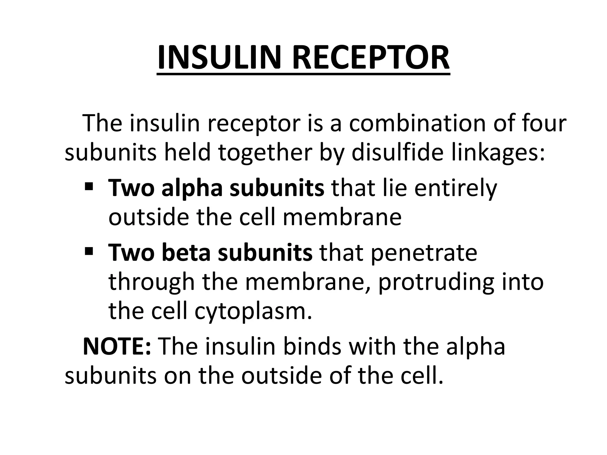 Insulin and its Uses | PPTX