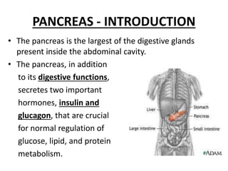 Insulin and its Uses | PPTX