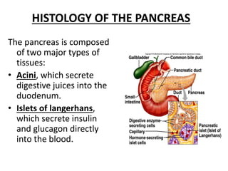 Insulin and its Uses | PPT | Free Download