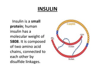 Insulin and its Uses | PPTX